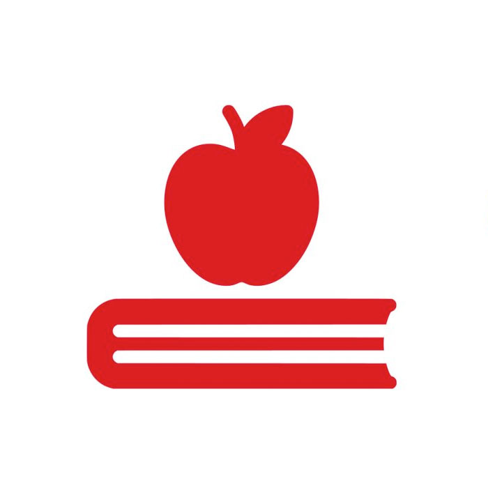Lóbulos cerebrales y estructuras subcorticales - EducaciónLab